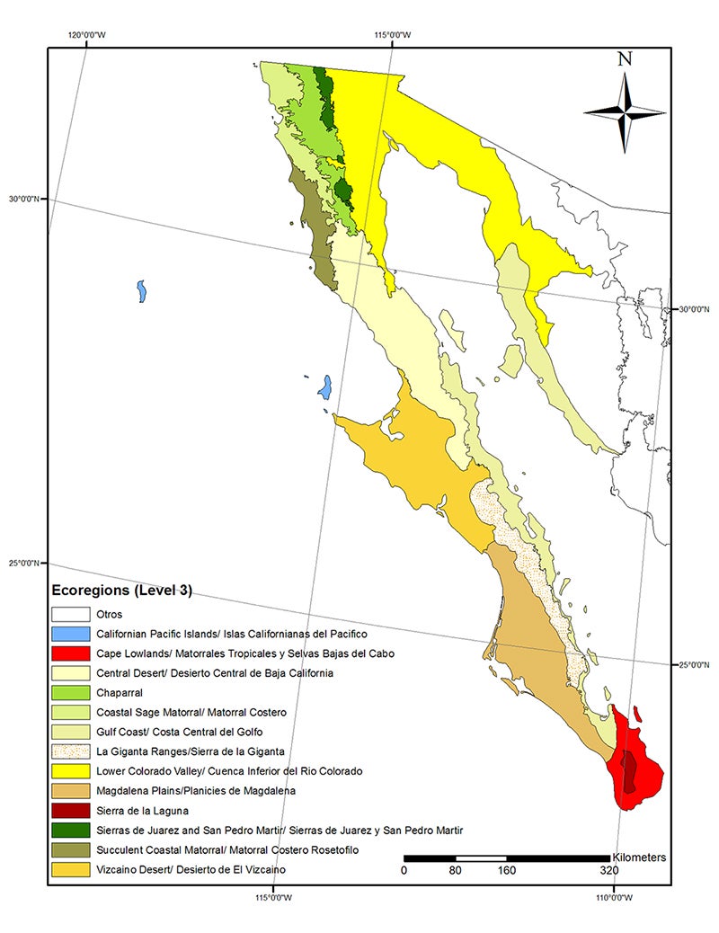 Ecoregions of Baja California (zip-file database) | Ezcurra Ecological ...